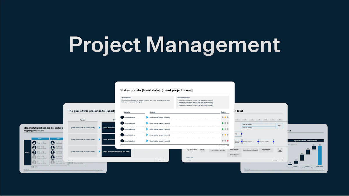 Project Management Template - by ex-McKinsey Consultants